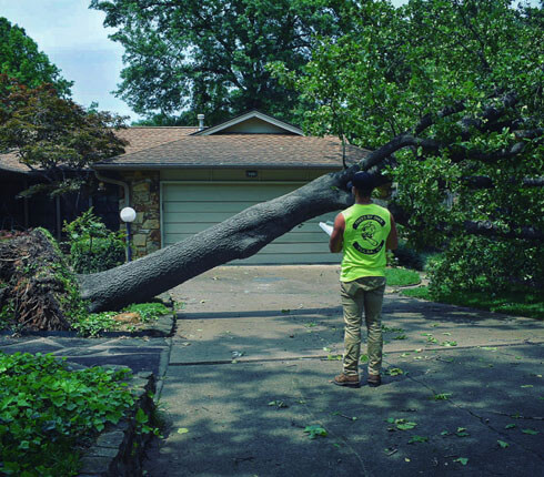 Our Services | Trees By Jake | Tulsa, Ok