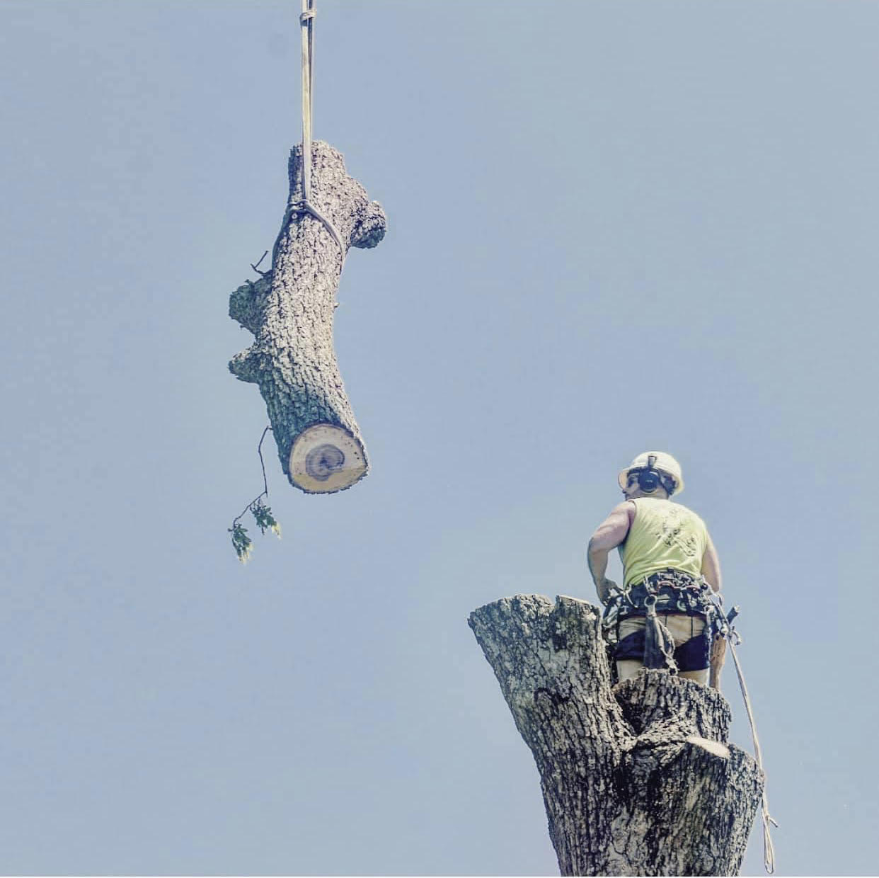 Tulsa Tree Service - Removal & Emergency Services