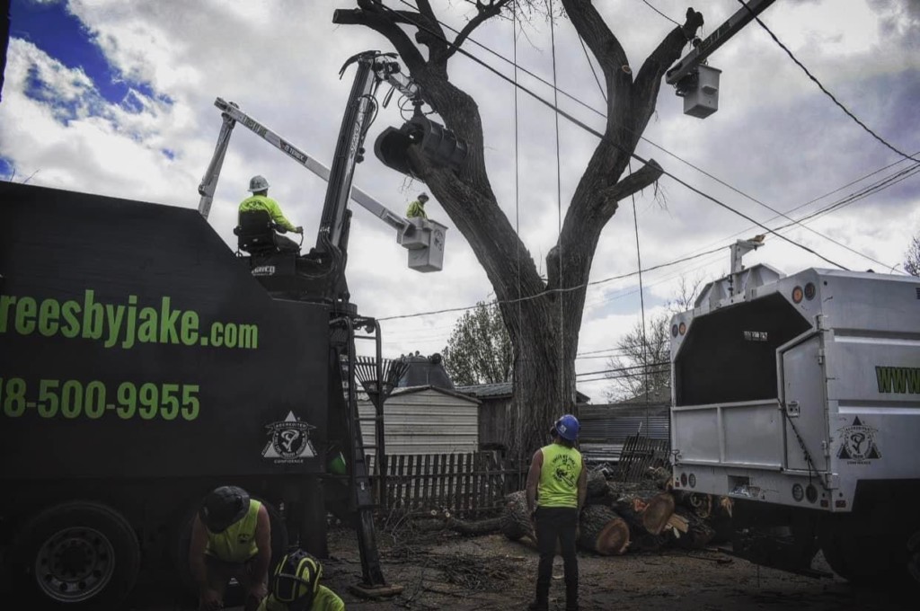 Tree Removal Service Tulsa - Dead and Fallen Tree Service Near Me